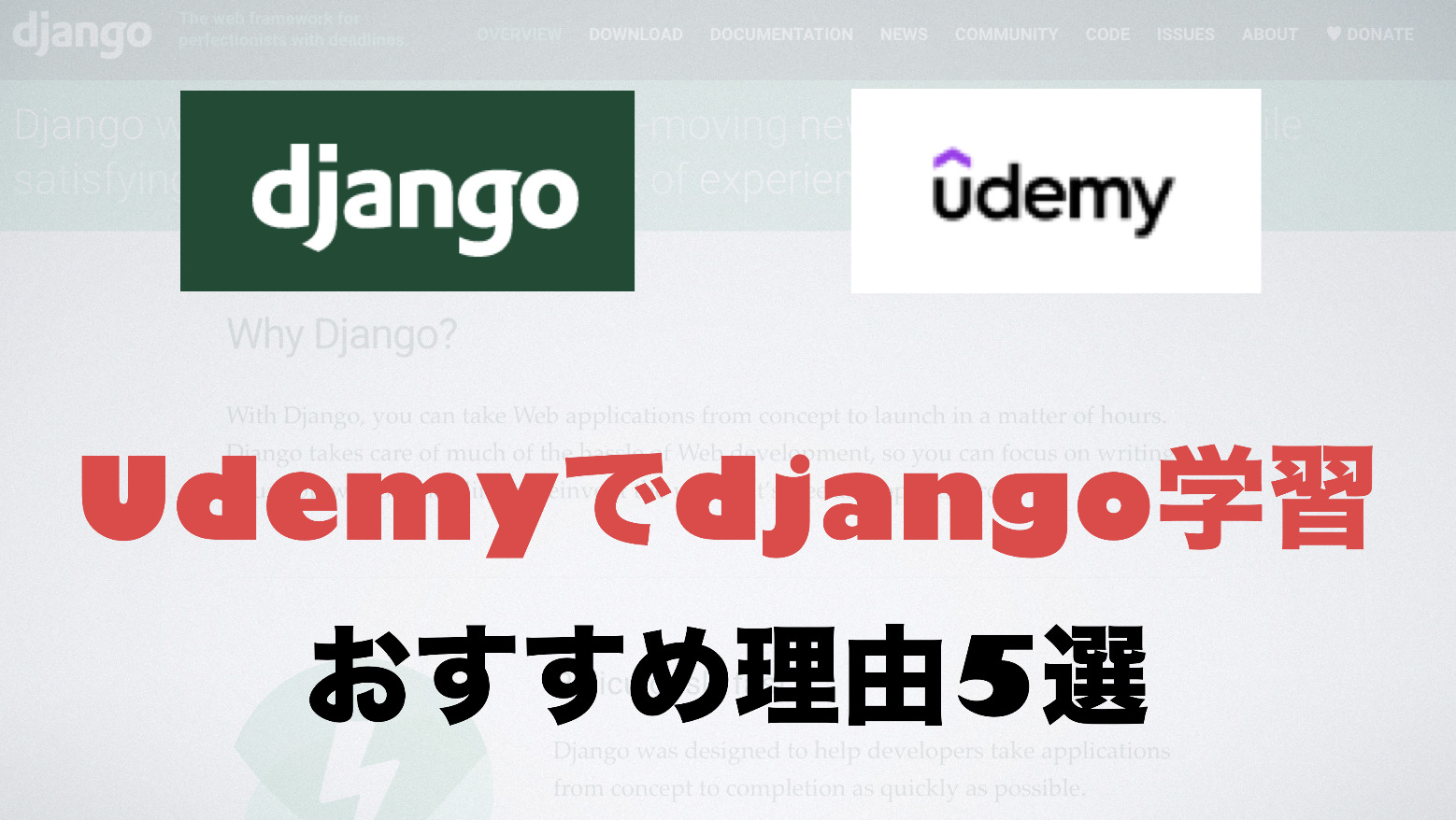UdemyでDjango学習をおすすめする理由5選 | Free Hero Blog